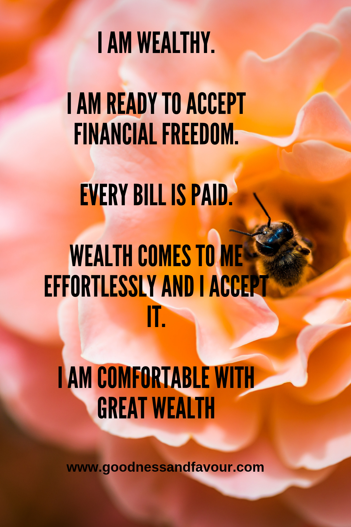 Positive Affirmation for Health and Wealth - Goodness and Favour